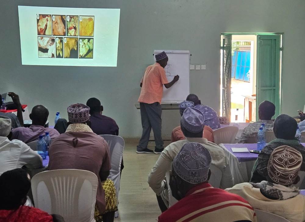 FAO Climate Resilience Project Boosts Livestock Health and Dairy ...