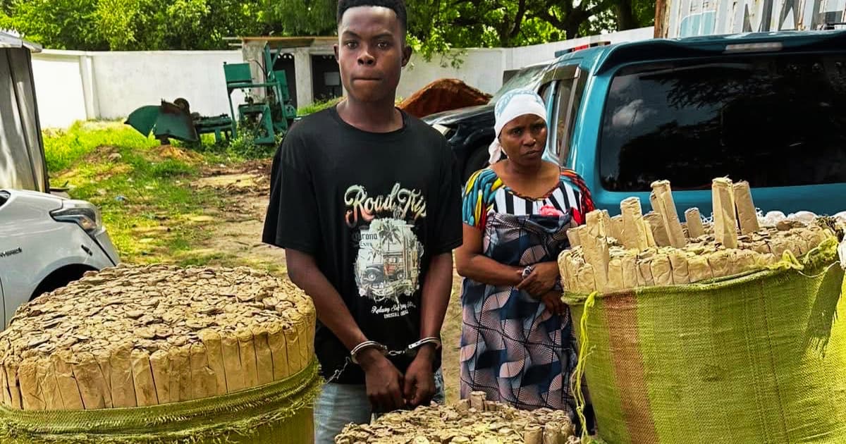 Two Arrested After DCI Seizes Sh4.2 Million Cannabis in Kilifi Raid ...